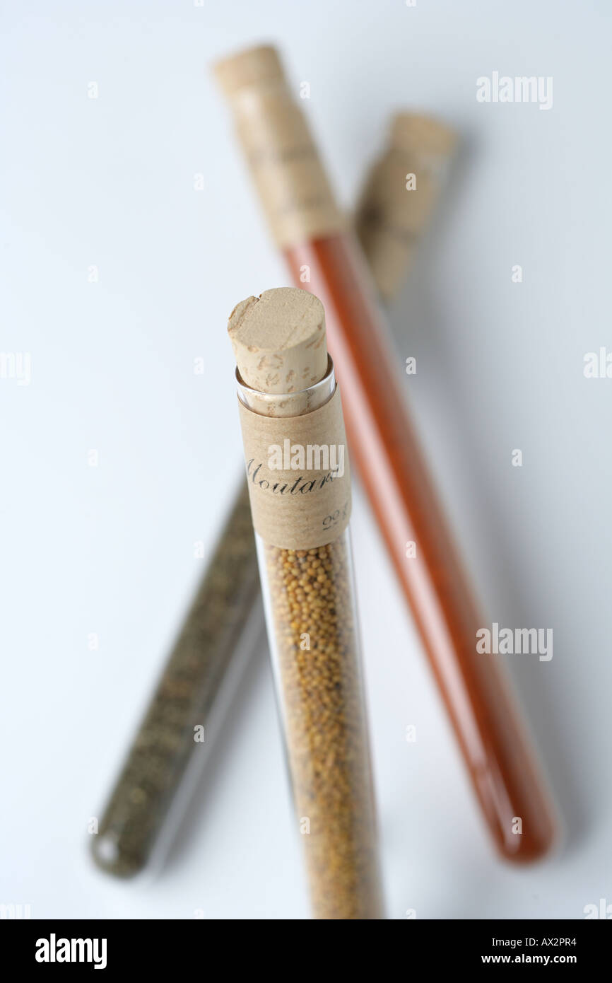 Test tubes with assorted spices sweet paprika mint and mustard seeds ...