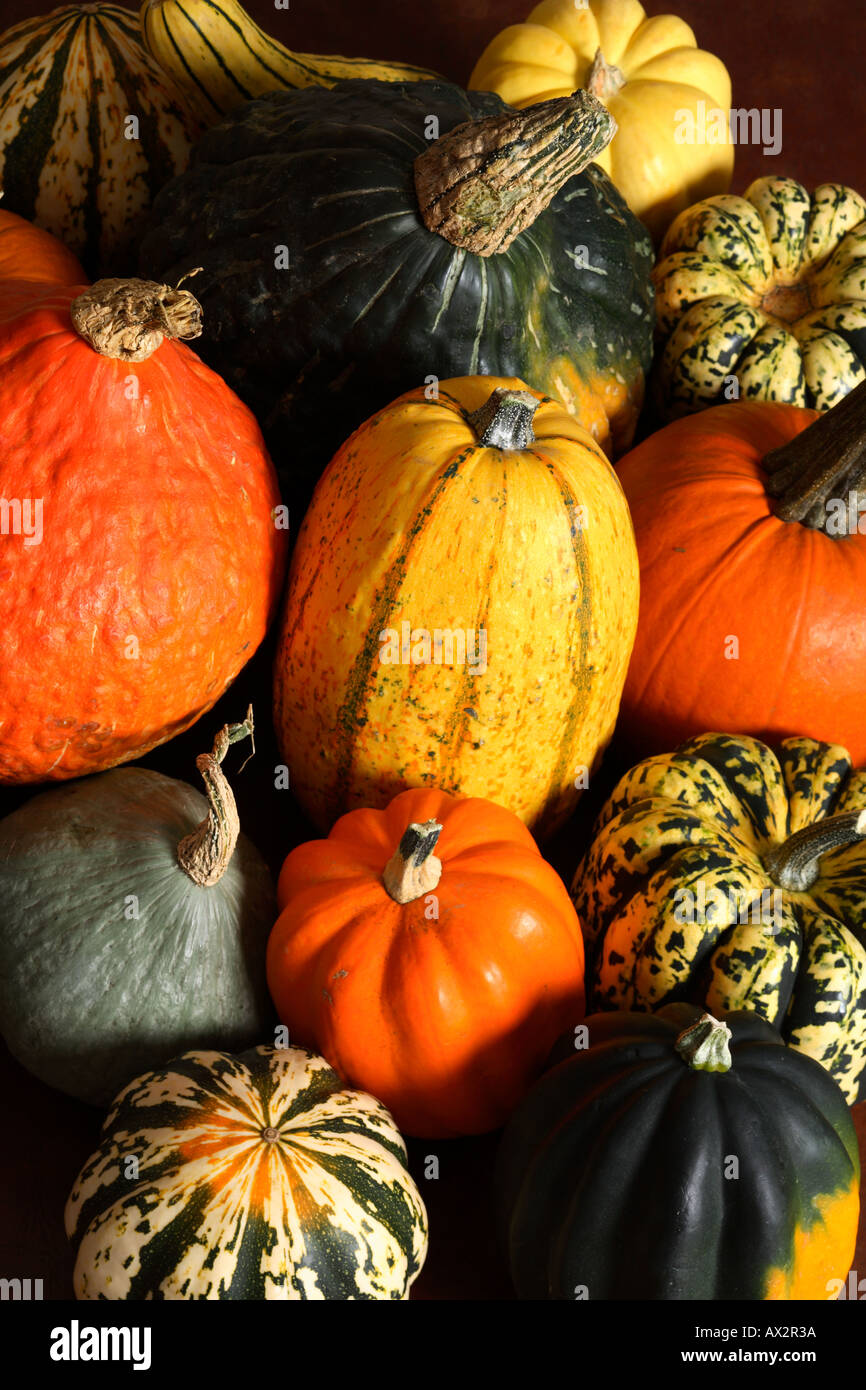 Mixed squash hi-res stock photography and images - Alamy