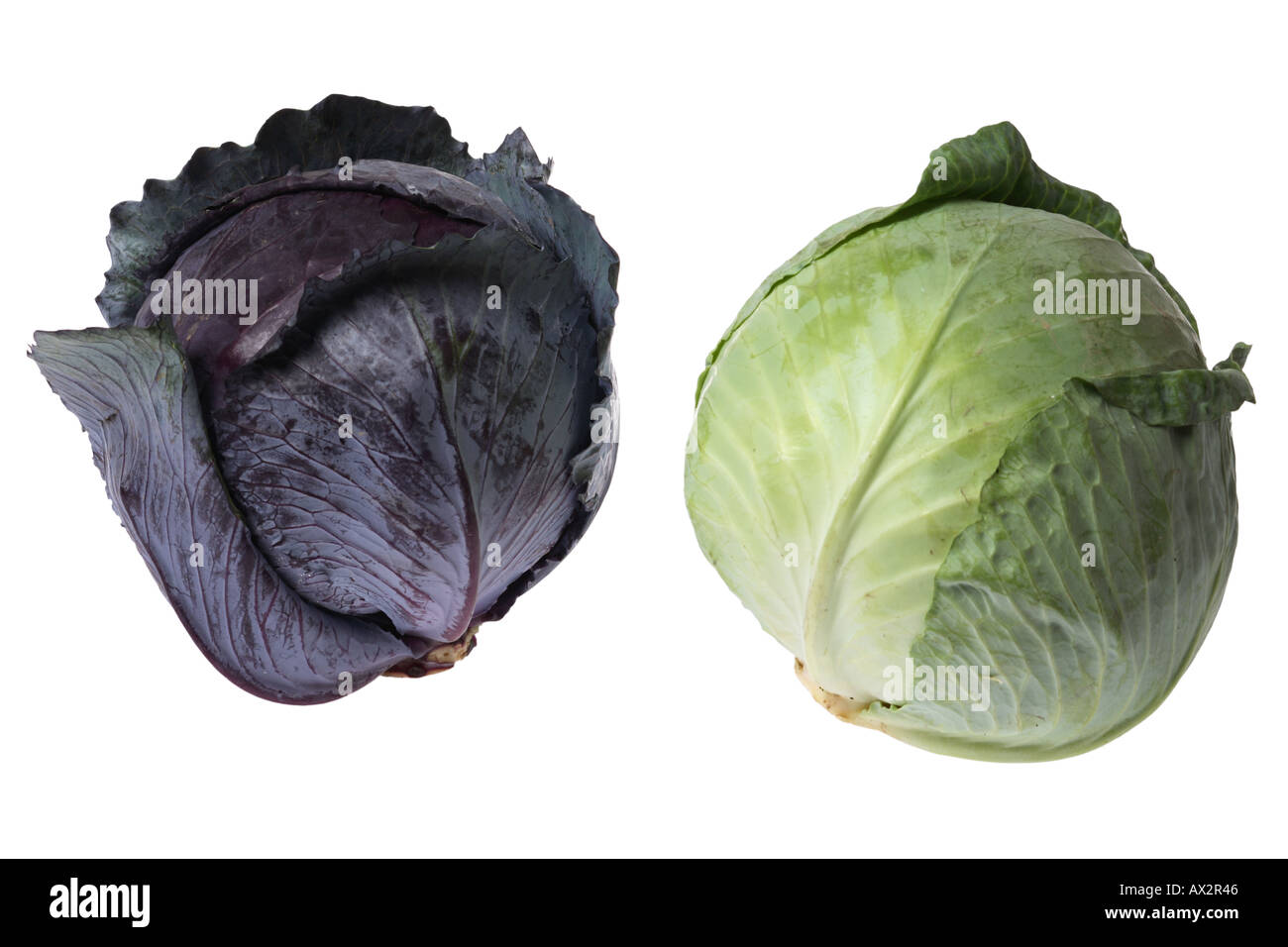 Red and Green Cabbage Stock Photo - Alamy
