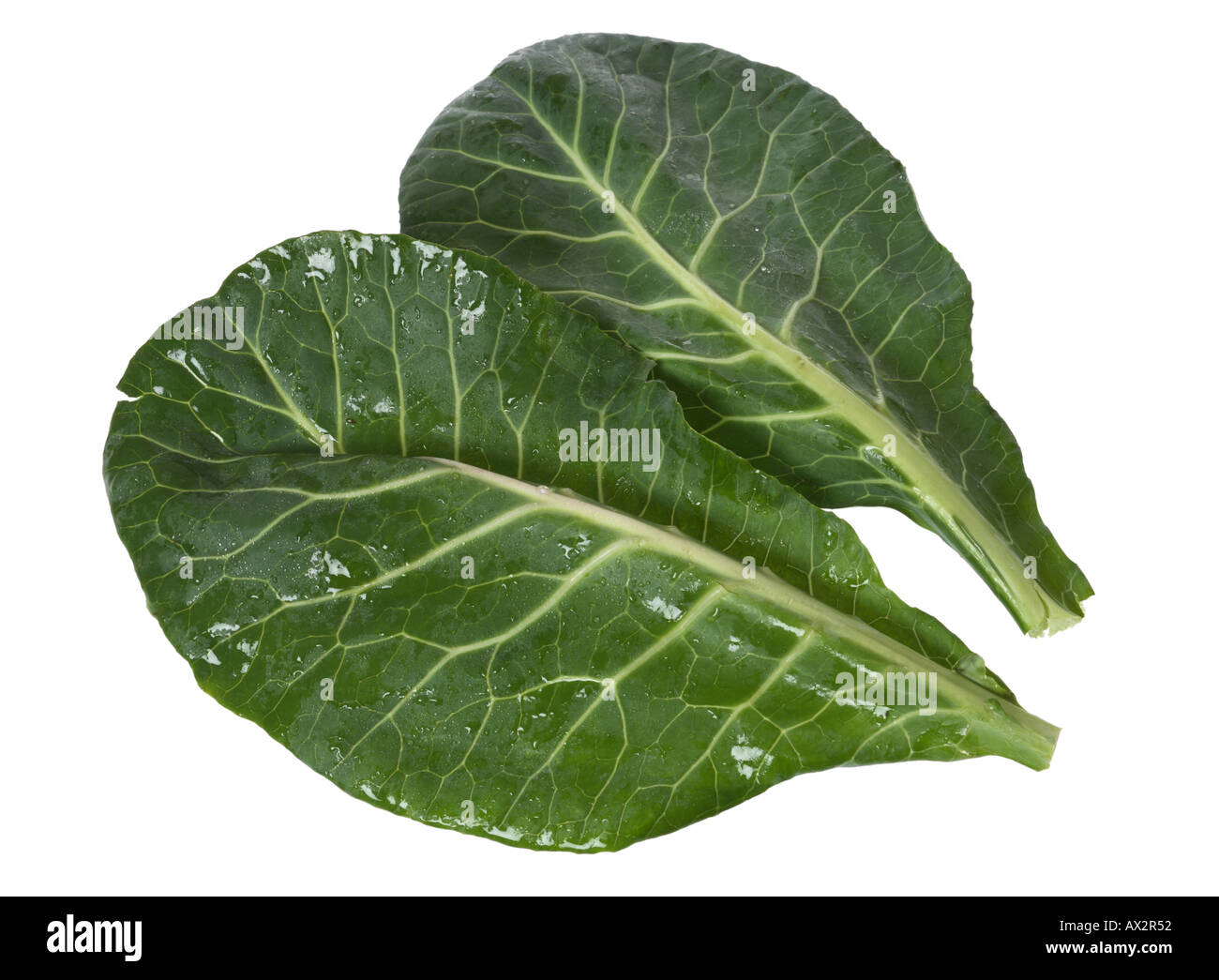 Collard greens crop hi-res stock photography and images - Alamy