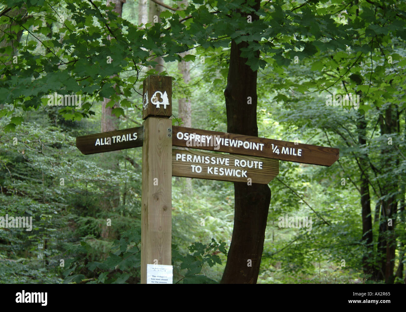Lake district osprey uk hi-res stock photography and images - Alamy