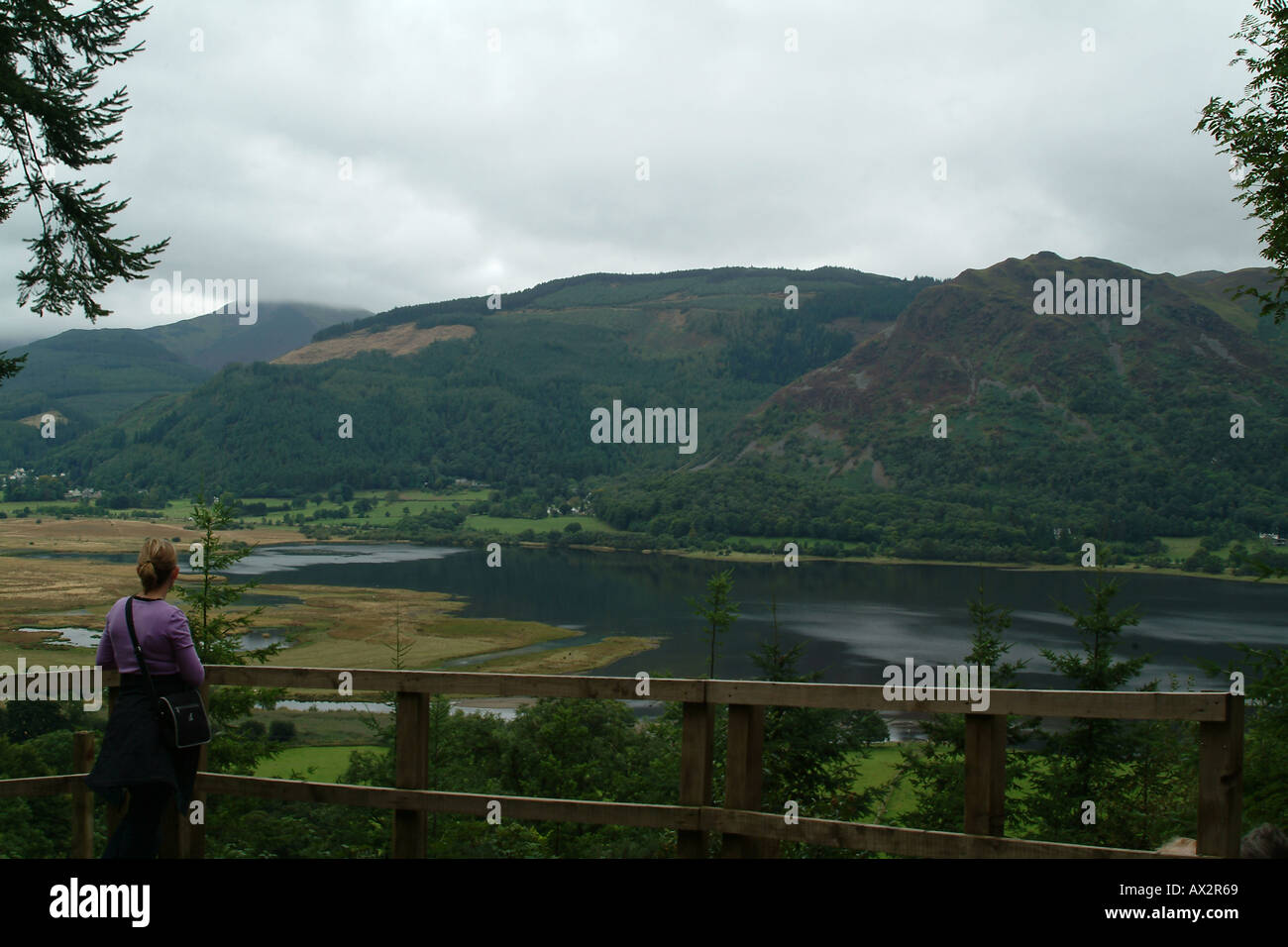 The dodd osprey hi-res stock photography and images - Alamy