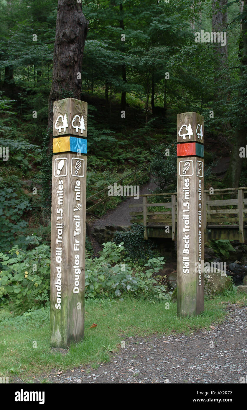 Different paths in forest hi-res stock photography and images - Alamy