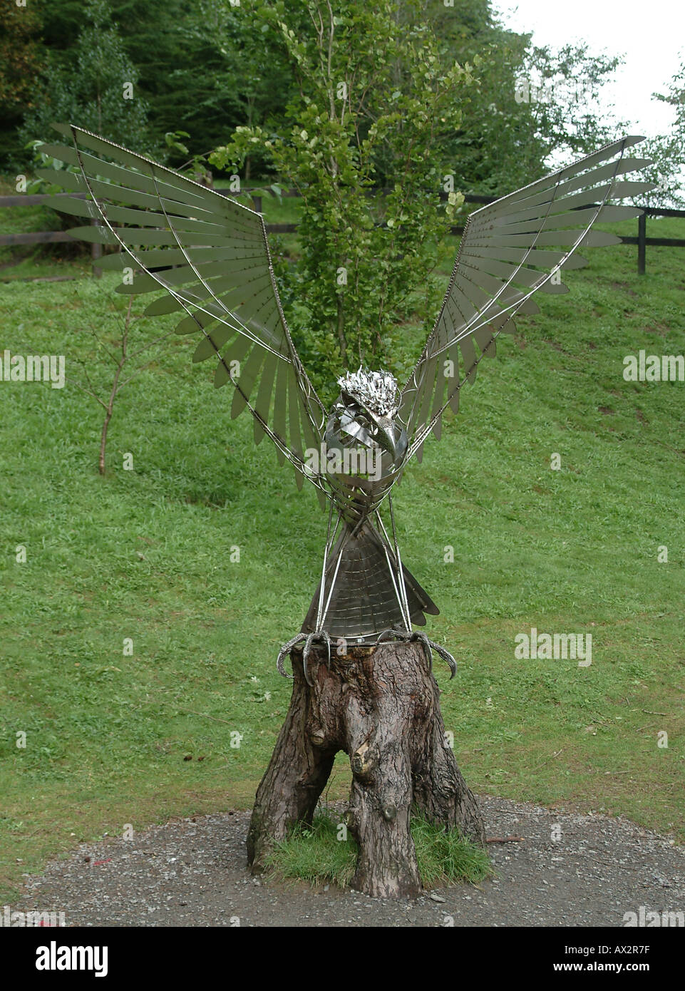 Osprey nest britain hi-res stock photography and images - Alamy