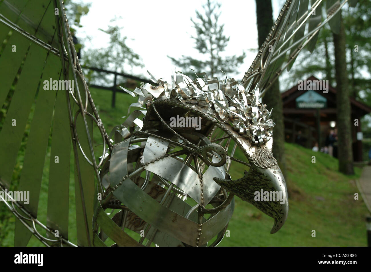Osprey sculpture at the Osprey Whinlatter Forest visitor centre Cumbria ...