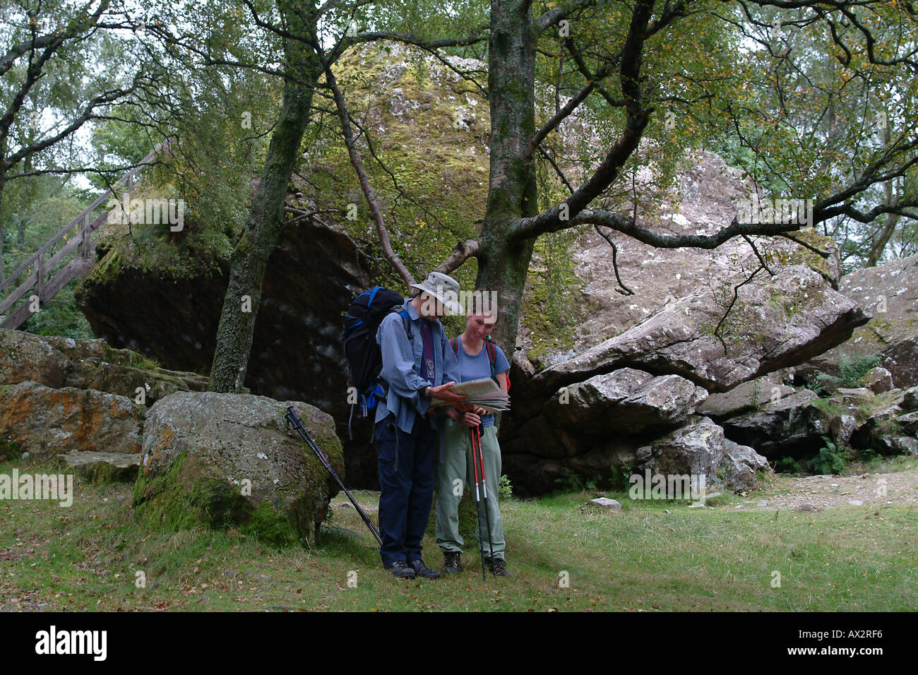 A male and female couple of walkers stop and read a map, wearing ...