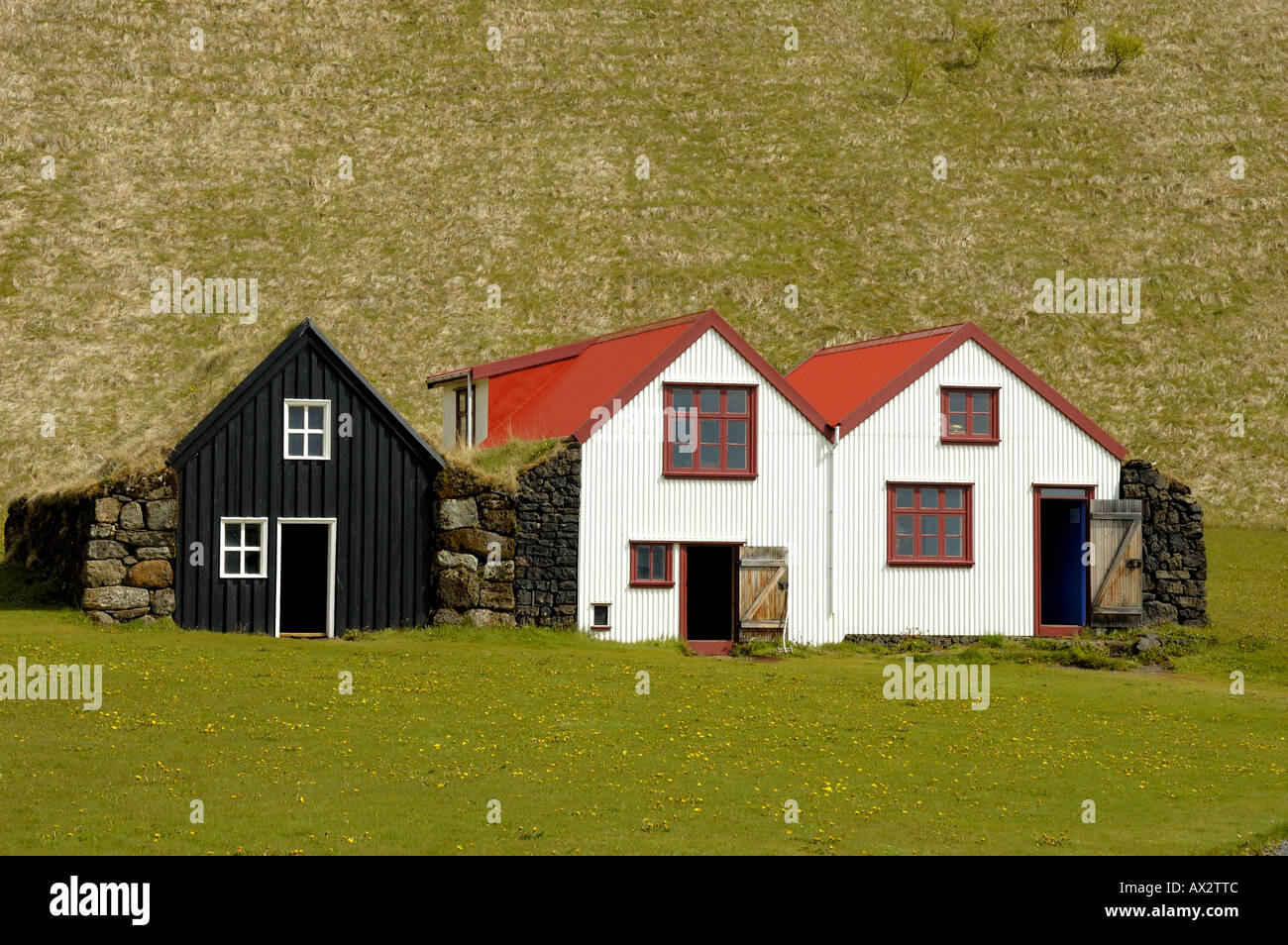 Traditional turf roofed buildings in Skogar Iceland Stock Photo - Alamy