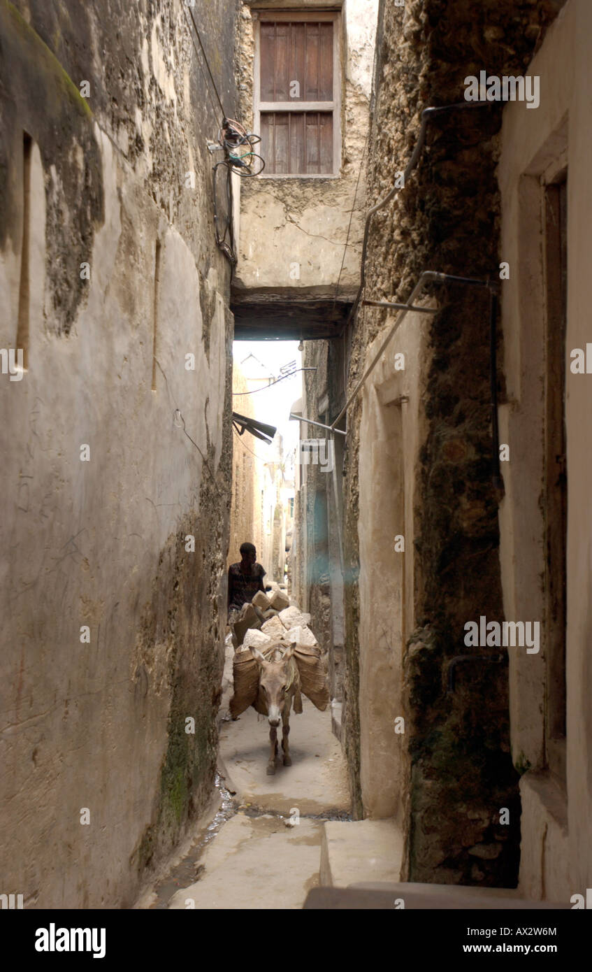 Lamu donkey hi-res stock photography and images - Alamy