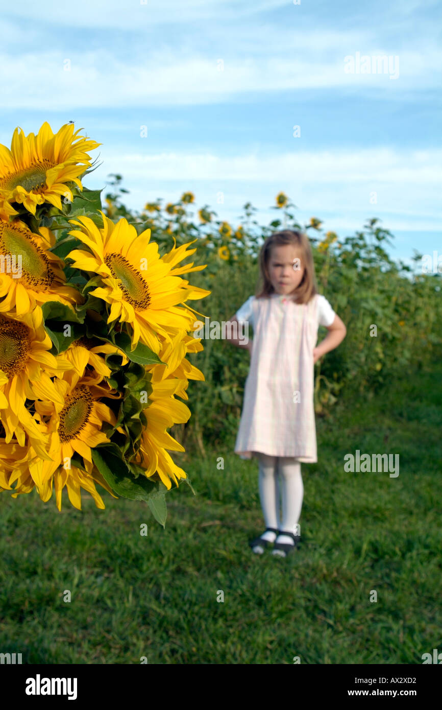Children growing sunflowers hi-res stock photography and images - Alamy