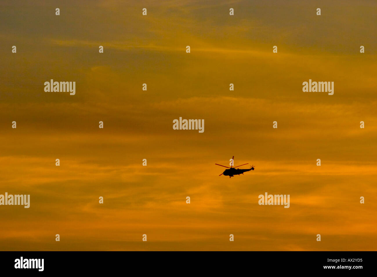 helicopter flying overhead at sunset Stock Photo - Alamy