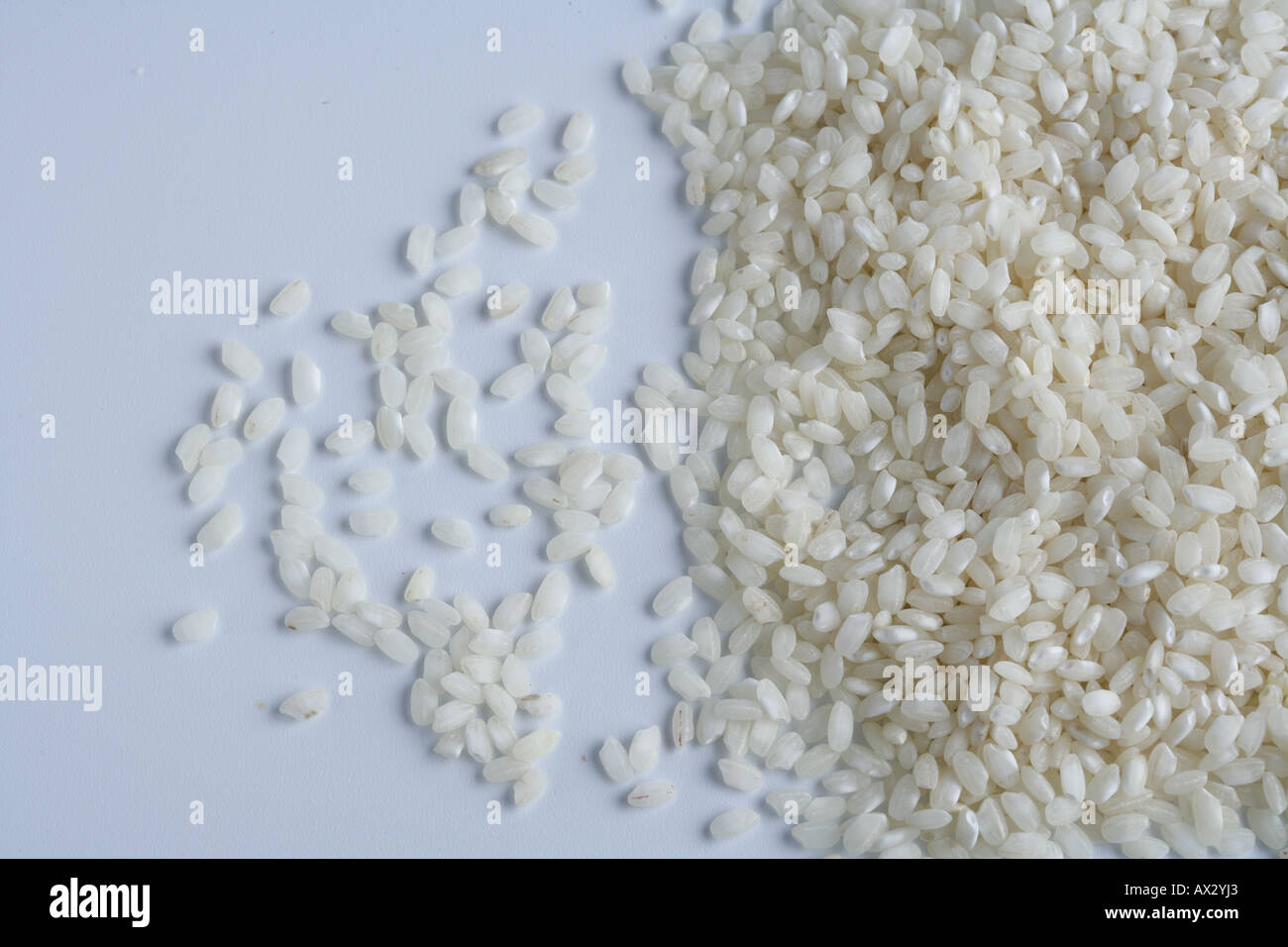 Round grain rice Stock Photo - Alamy