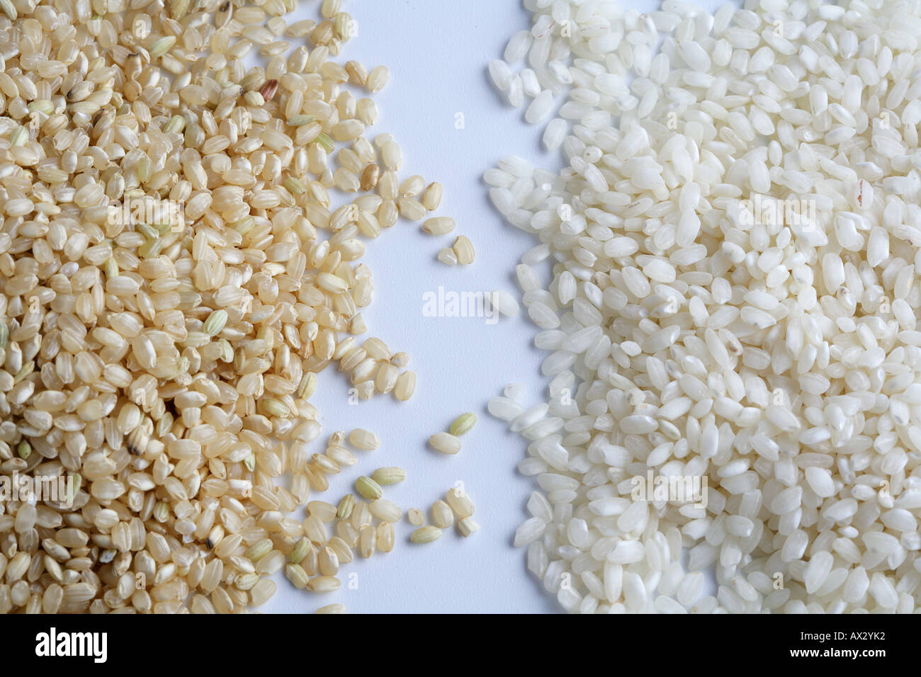 Comparing regular and integral rice Stock Photo - Alamy