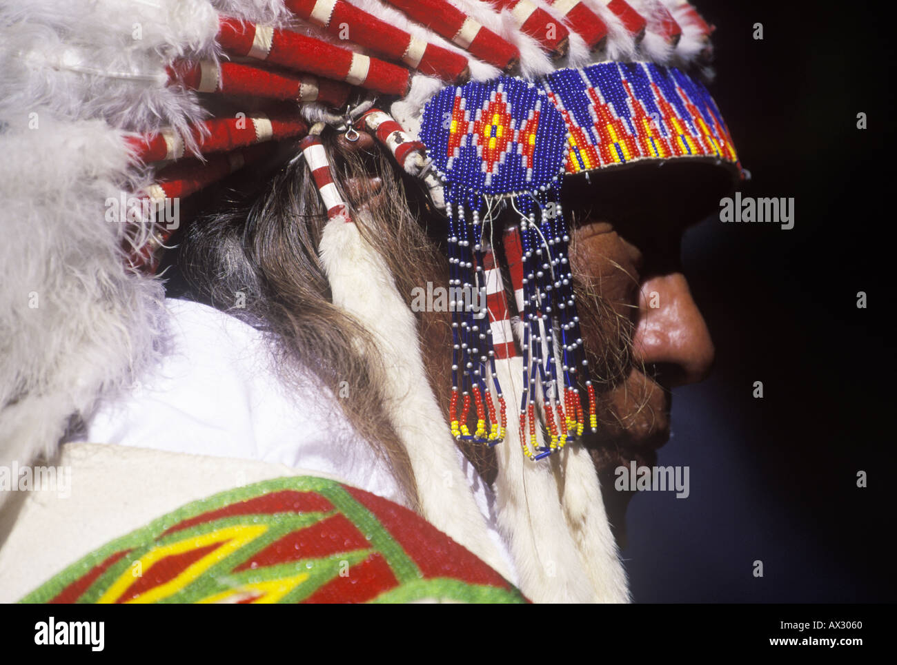 North American Plains Indian Cheif in ceremonial dress Stock Photo - Alamy