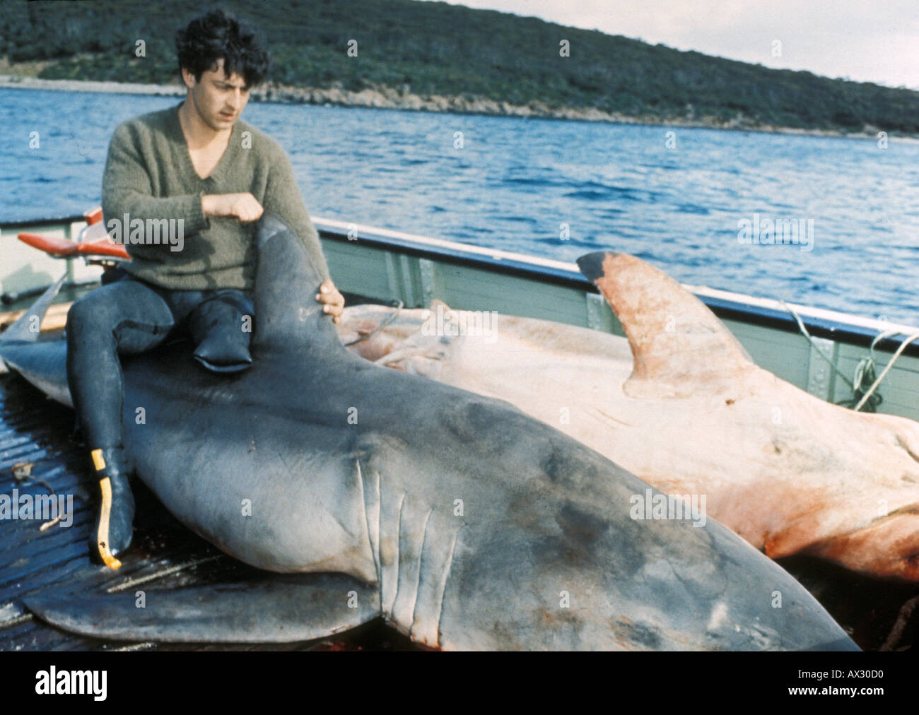 Henri bource lost leg to shark carcharodon carcharias pcd2414 hi-res ...