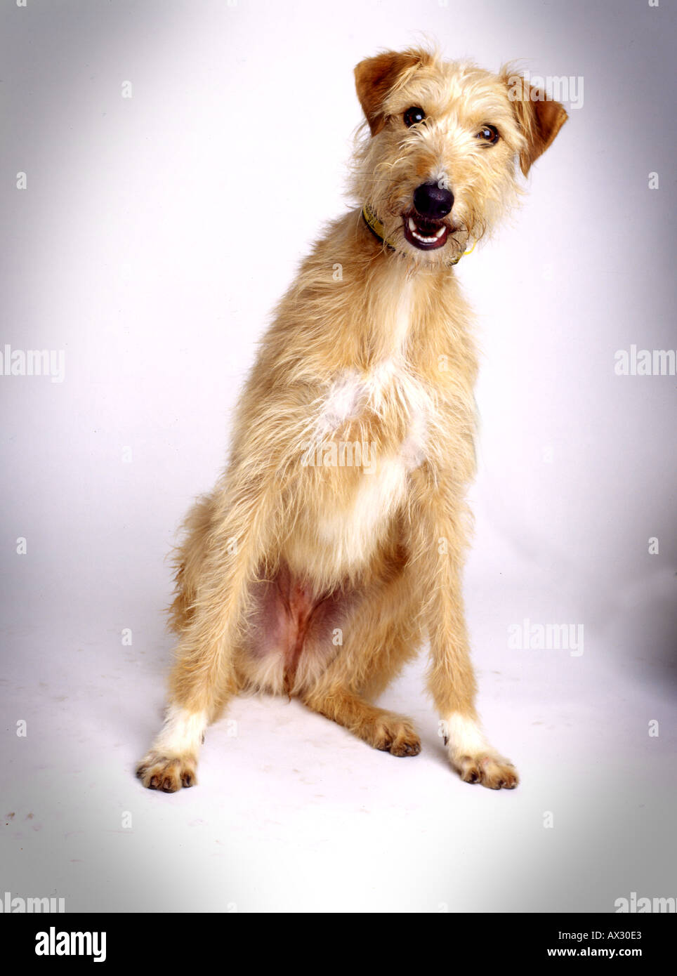 Ooch hi-res stock photography and images - Alamy