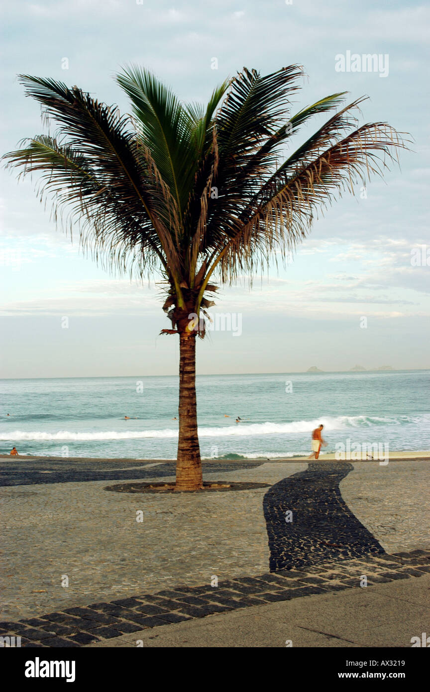 Palm tree and passerby Ipanema beach Rio de Janeiro Brazil Brasil Stock ...