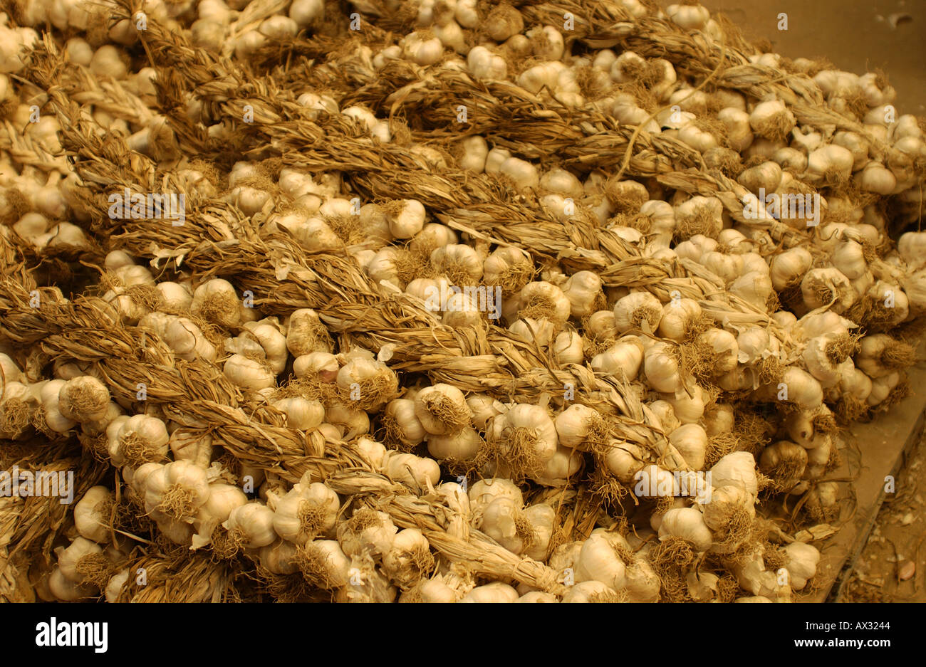 Strings of Garlic bulbs Stock Photo - Alamy