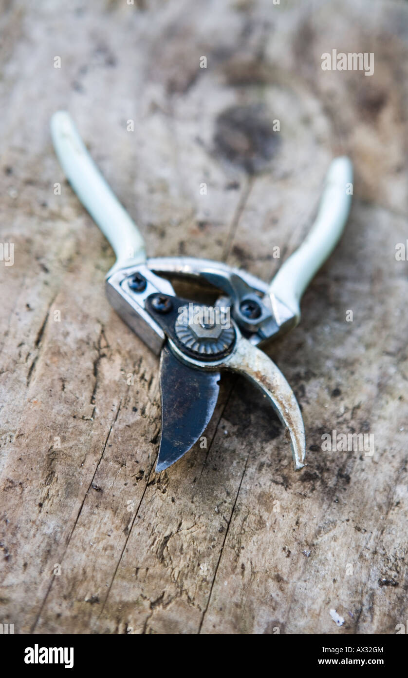 Secateurs used hi-res stock photography and images - Alamy