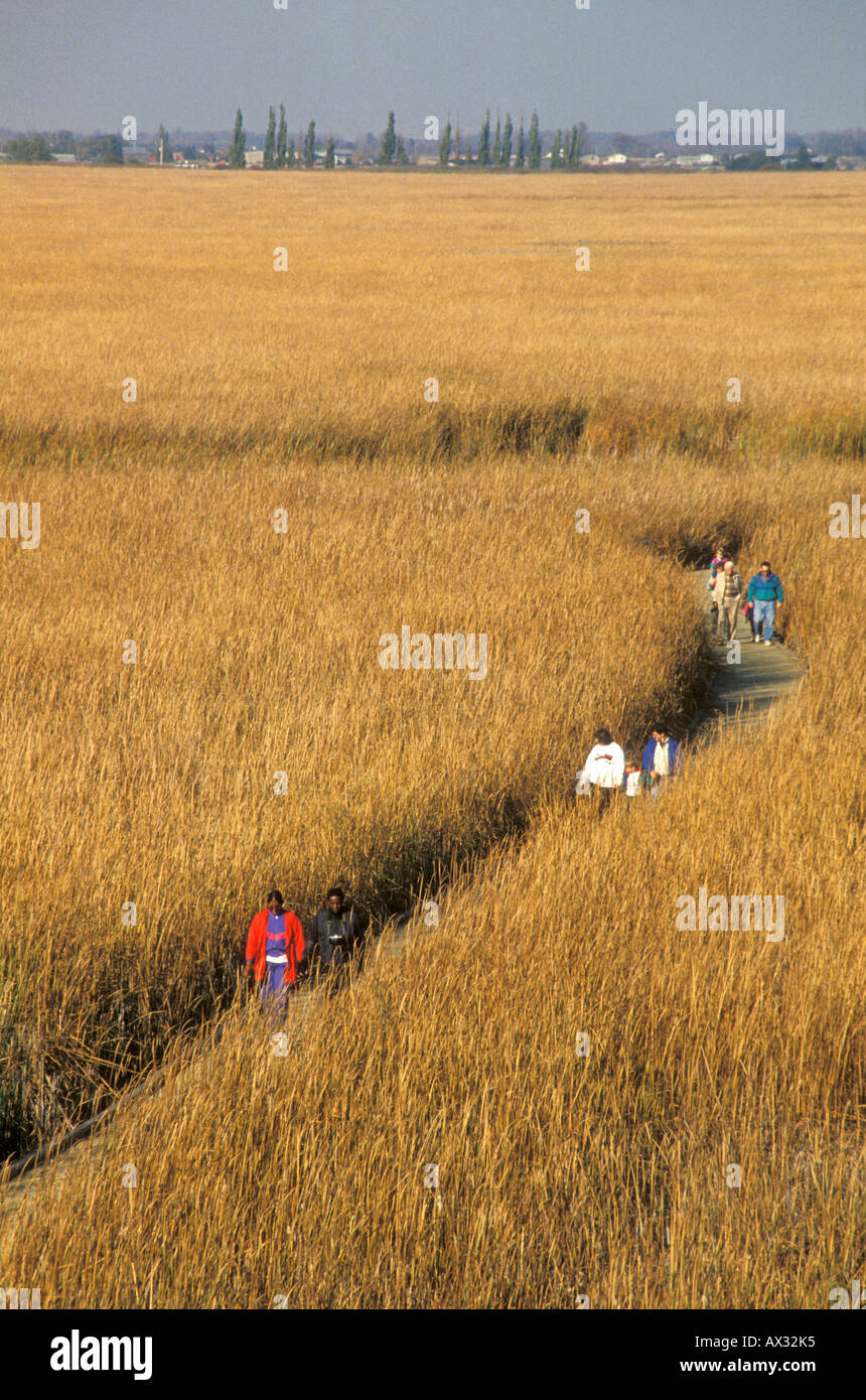 Point Pelee National Park Ontario Canada Visitors to Pt Pelee walk on a ...