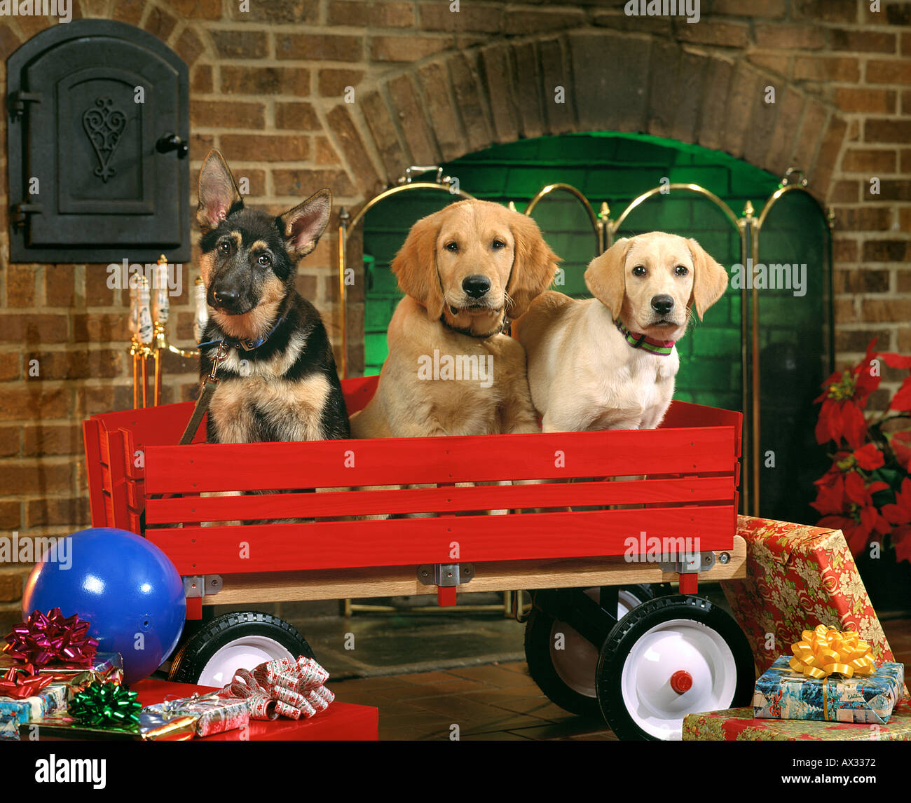 The christmas wagon hi-res stock photography and images - Alamy