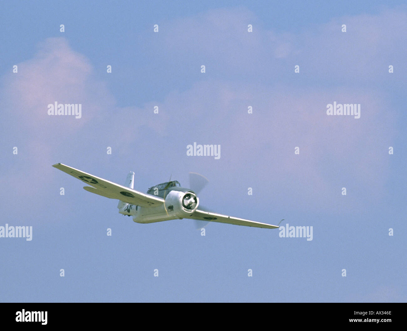 Grumman TBM Avenger torpedo bomber like the one flown in combat by ...