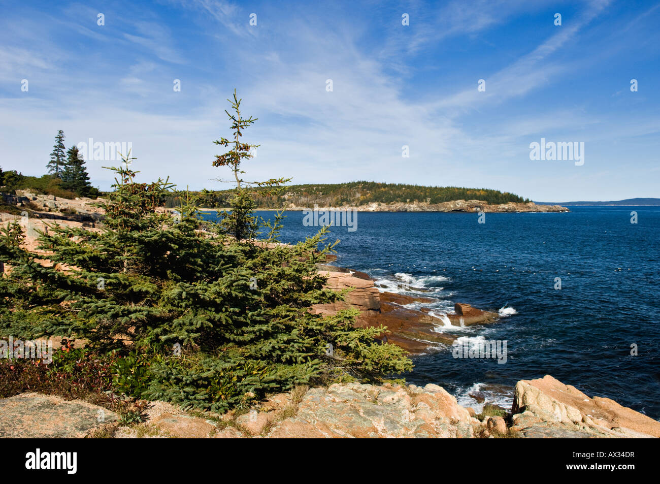 New england trees near ocean hi-res stock photography and images - Alamy
