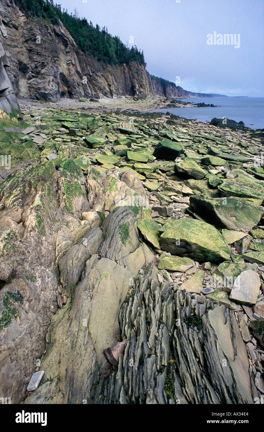 Slate Cliffs Tilted Strata Cape Enrage New Brunswick Canada Stock Photo ...