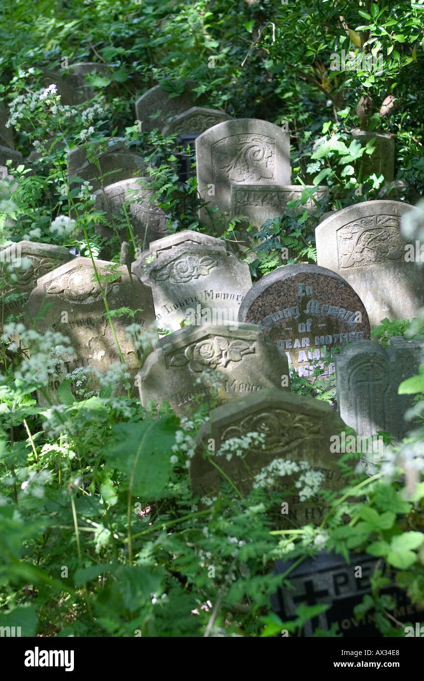 Abney Park Cemetery Stoke Newington London England UK Stock Photo - Alamy