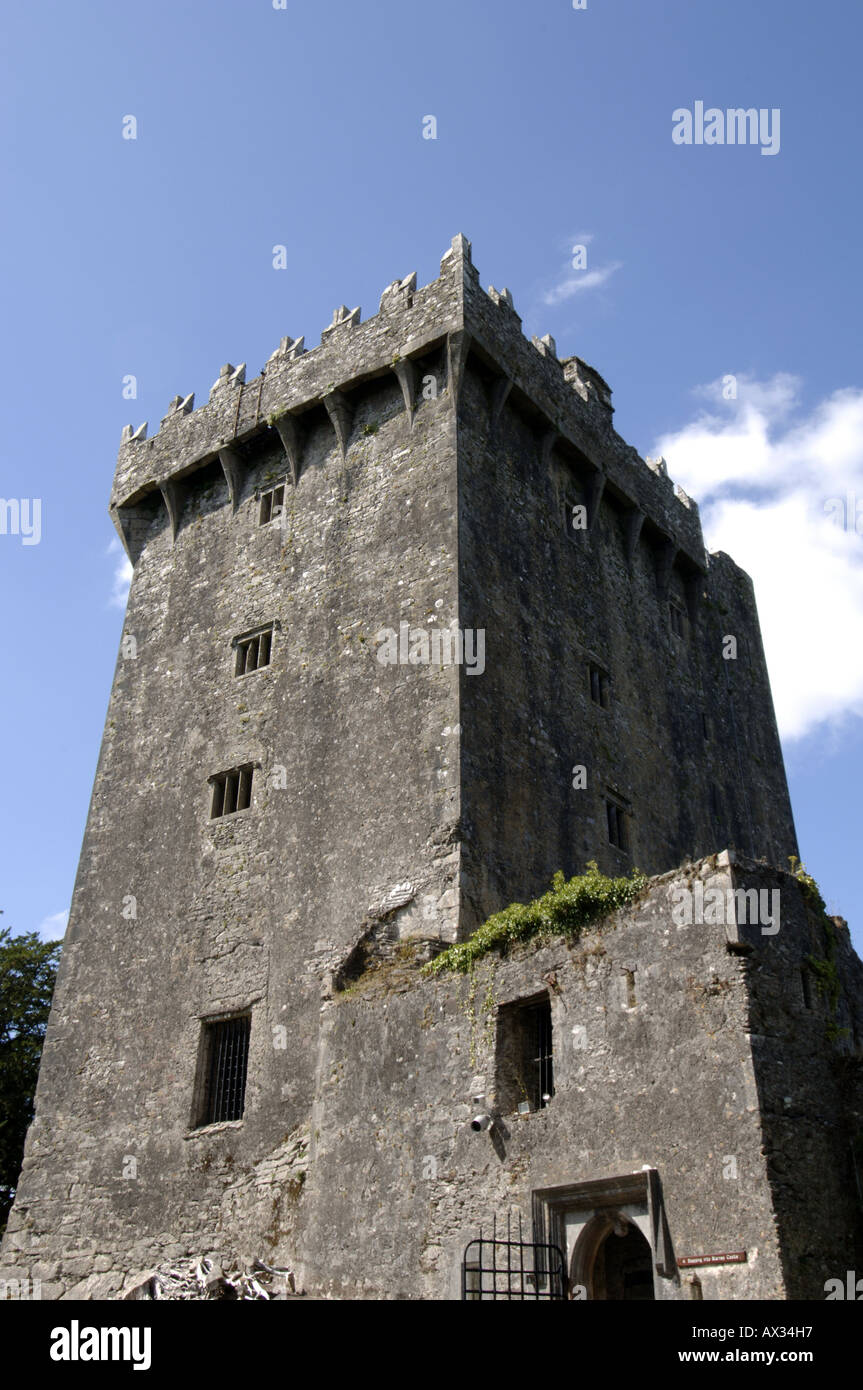 Visiting the Blarney Castle to kiss the renowned Blarney Stone in ...