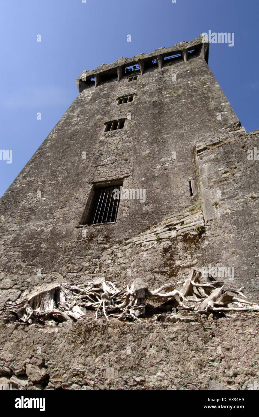 Visiting the Blarney Castle to kiss the renowned Blarney Stone in ...