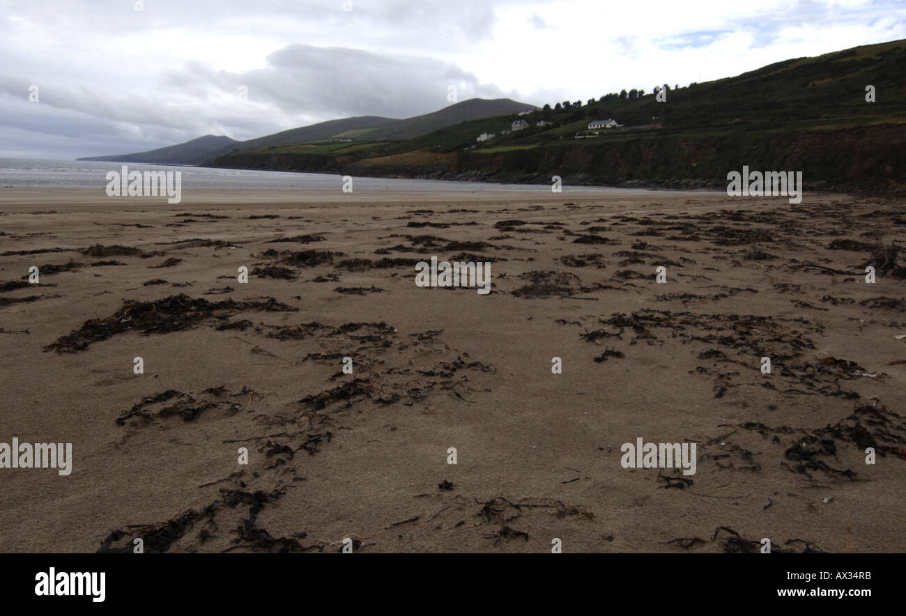 Brendon beach hi-res stock photography and images - Alamy