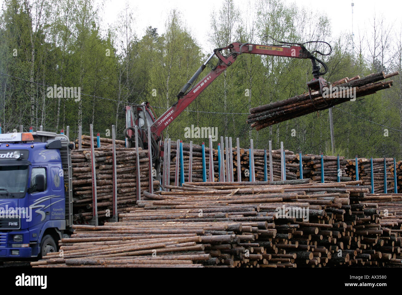 Timber loading in railroad box cars Stock Photo - Alamy