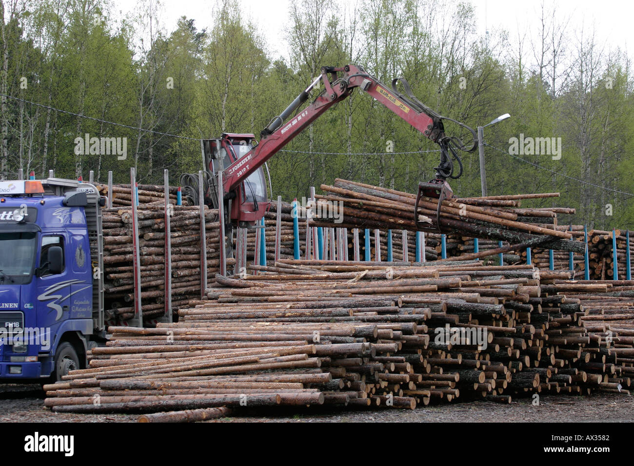 Timber loading in railroad box cars Stock Photo - Alamy