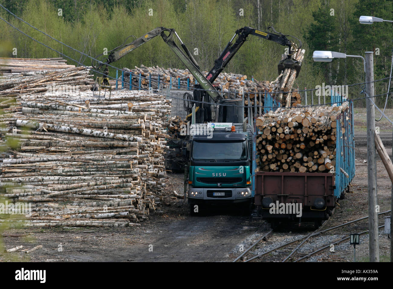 Timber loading in railroad box cars Stock Photo - Alamy