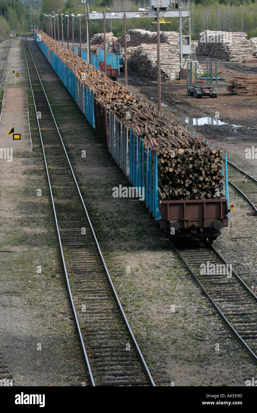 Timber loading in railroad box cars Stock Photo - Alamy