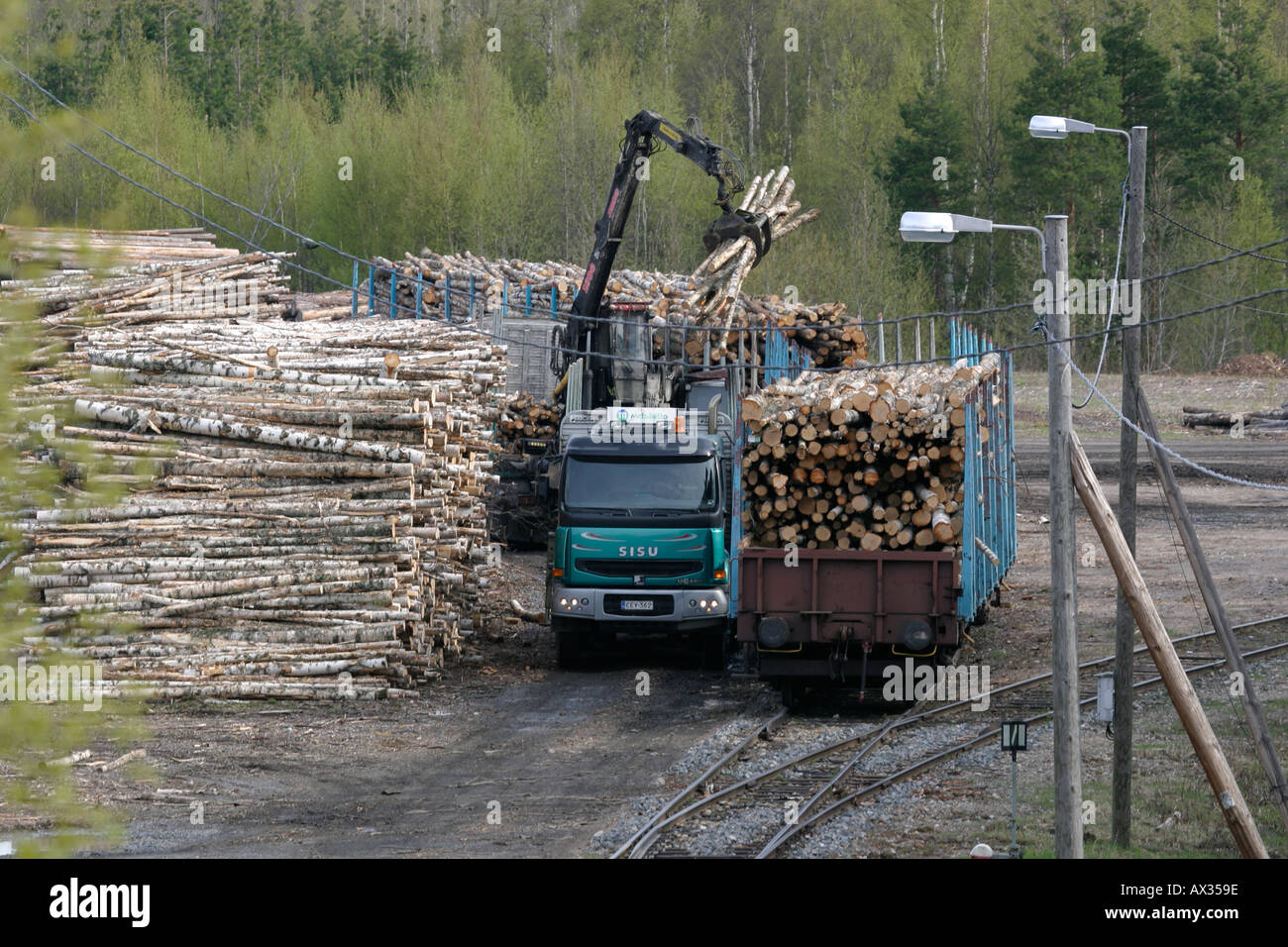 Timber loading in railroad box cars Stock Photo - Alamy