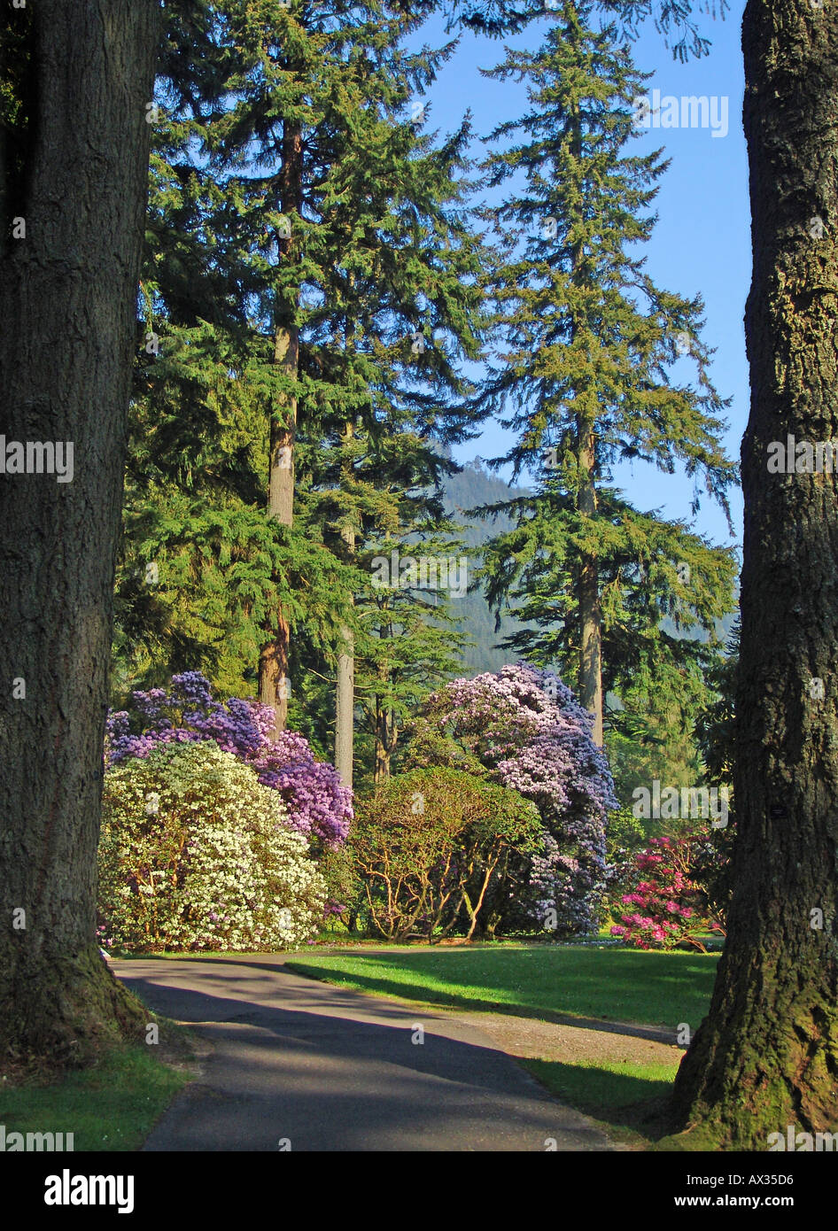 Benmore Botanic Garden Stock Photo - Alamy