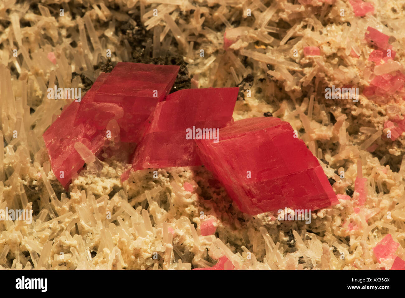 Rhodochrosite on quartz crystal. Manganese carbonate. Argentina Stock ...