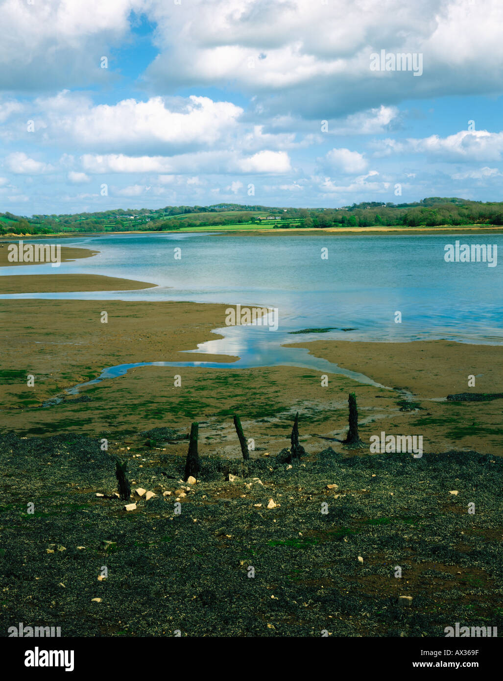 Lawrenny Quay Near Martletwy Pembrokeshire National Park Wales UK Stock ...