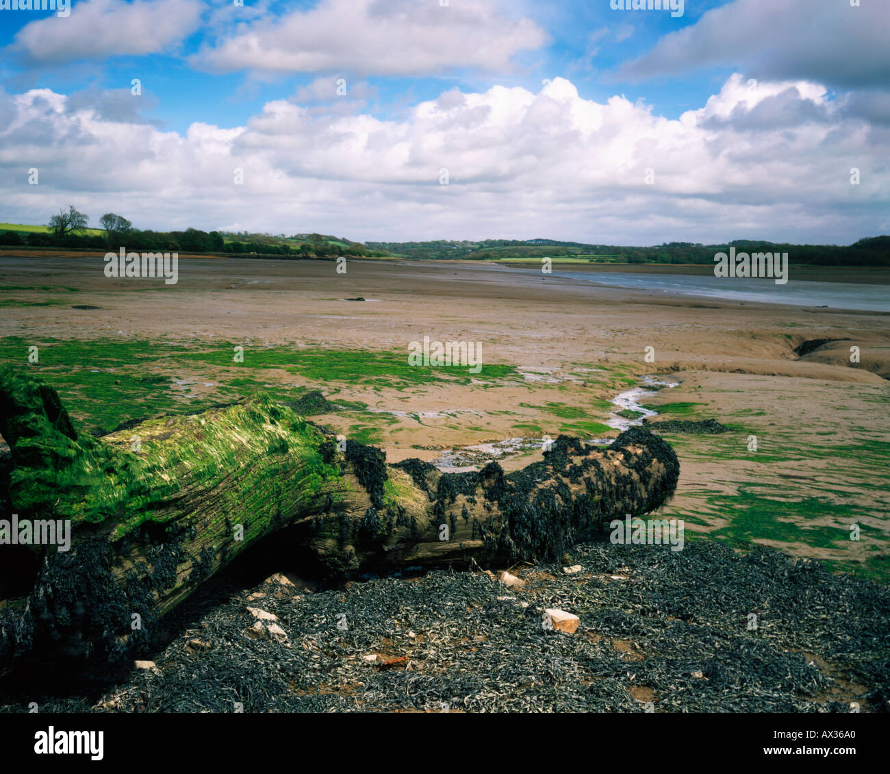 Lawrenny quay pembrokeshire hi-res stock photography and images - Alamy