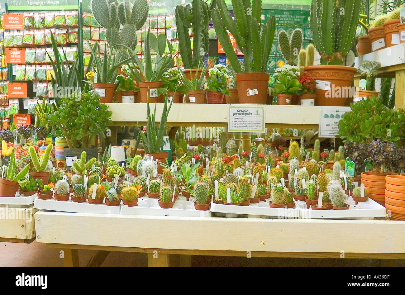 garden centre neils yard alexandra palace haringey north london Stock ...