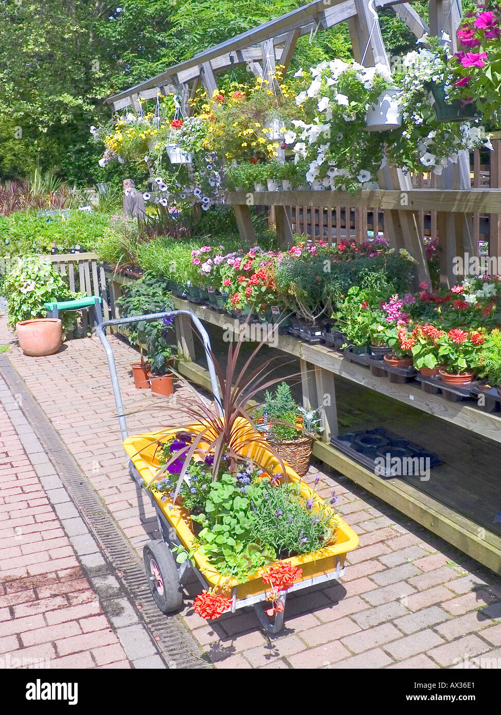garden centre neils yard alexandra palace haringey north london Stock ...