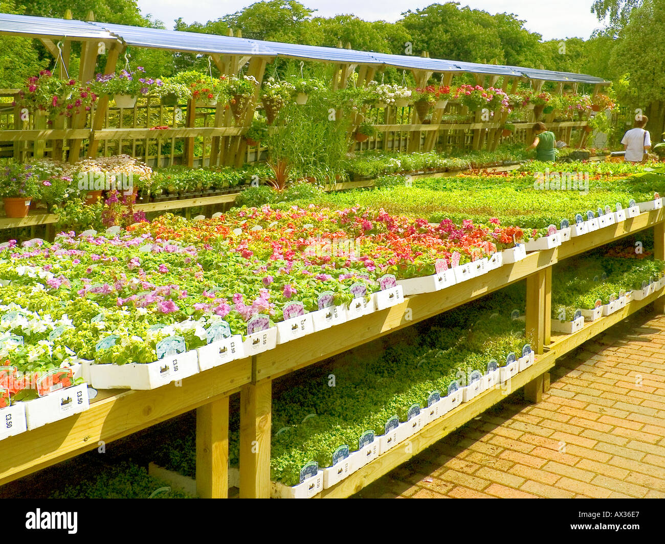 garden centre neils yard alexandra palace haringey north london Stock ...
