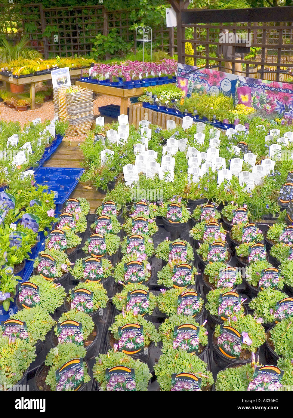 garden centre neils yard alexandra palace haringey north london Stock ...