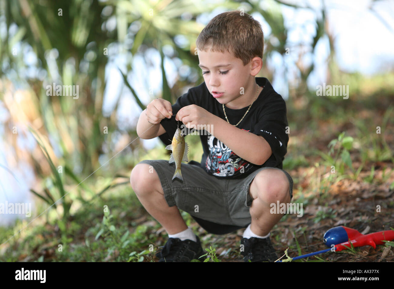 Young boy Catching Fish Stock Photo - Alamy