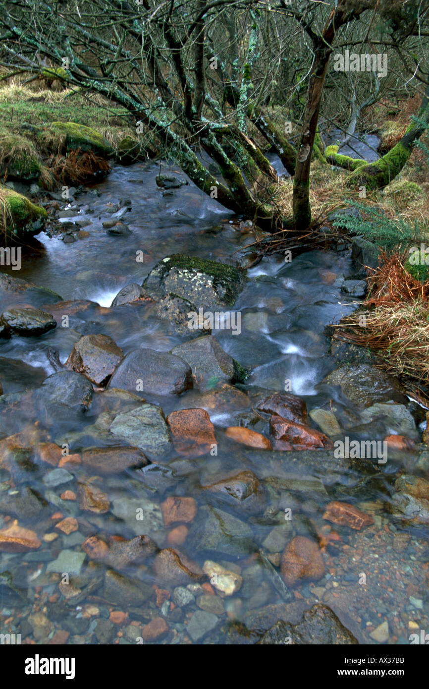 Brook stream burn river hi-res stock photography and images - Alamy