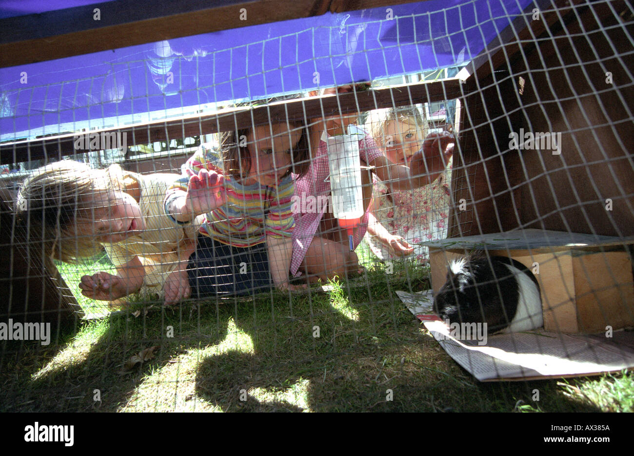 Skip rabbit hi-res stock photography and images - Alamy