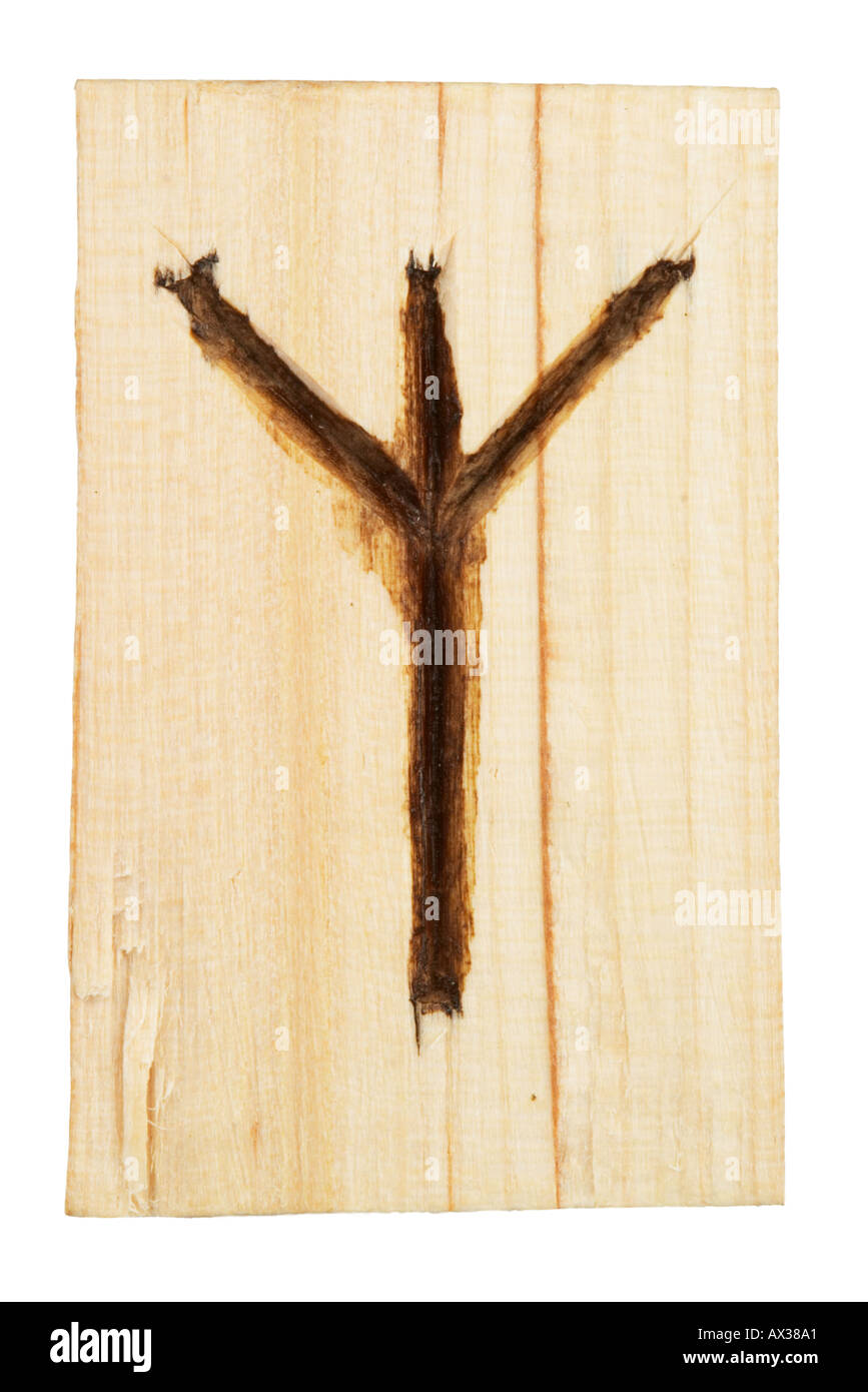 Proper rune stave algiz made from traditional Mountain Ash Rowan and ...