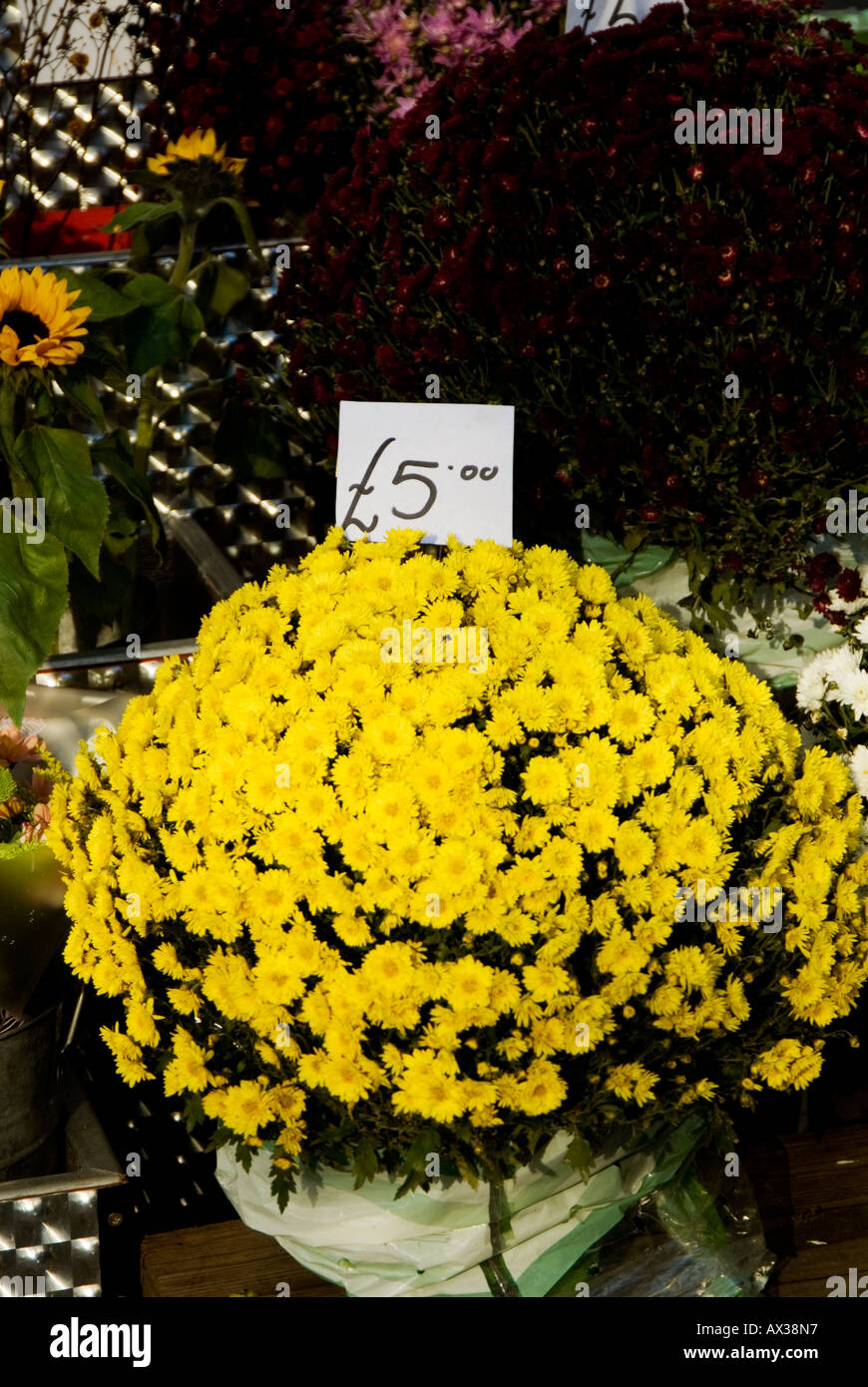 Flourist hi-res stock photography and images - Alamy