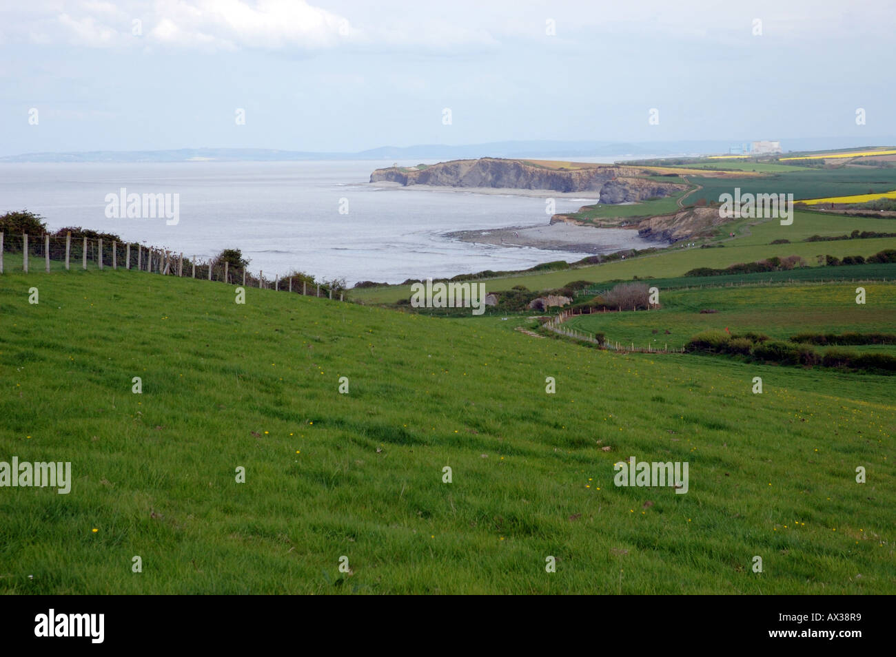 The West Somerset coast path near Kilve Beach Stock Photo - Alamy